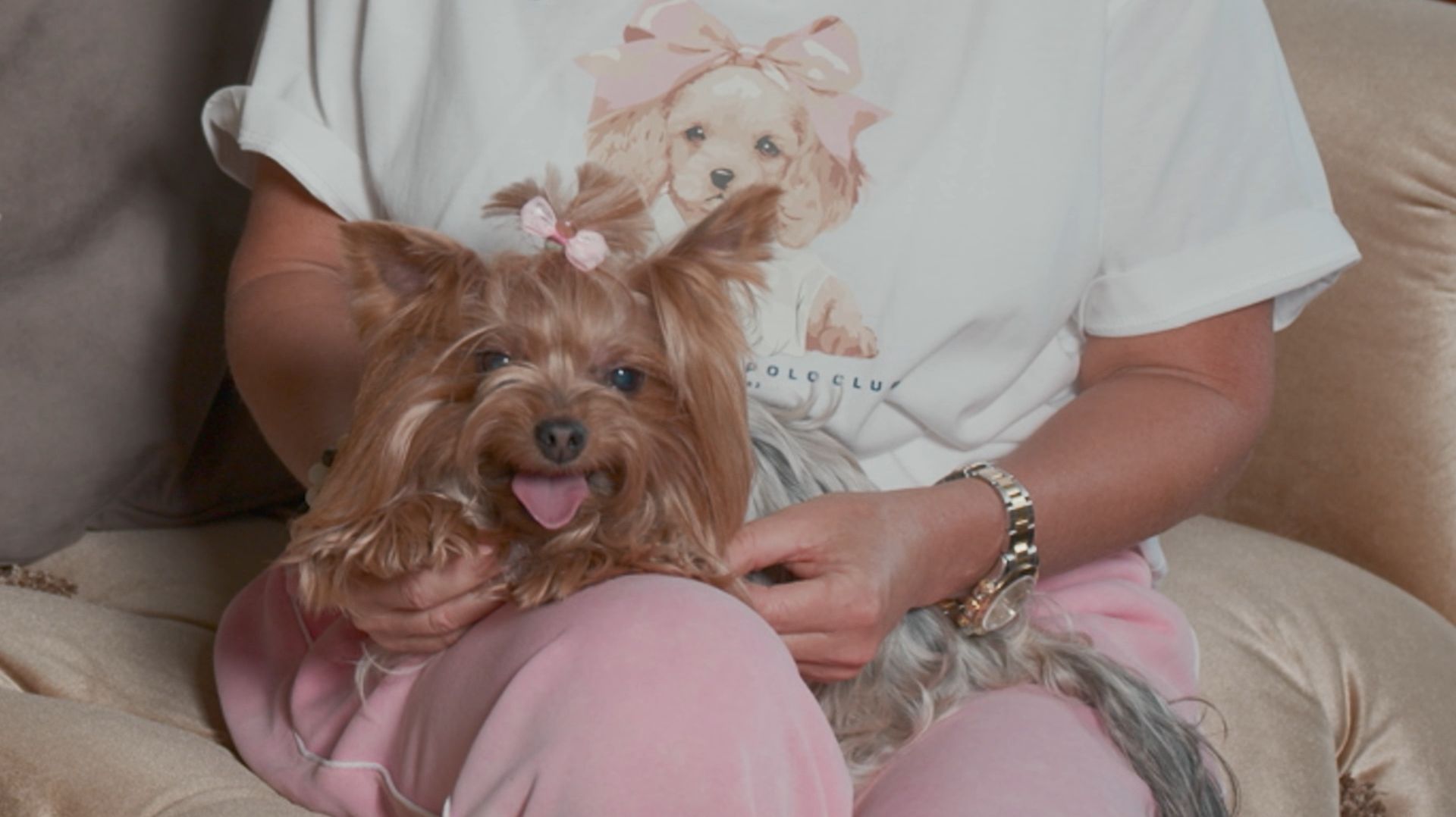 Выпуск #1 «Пора домой»