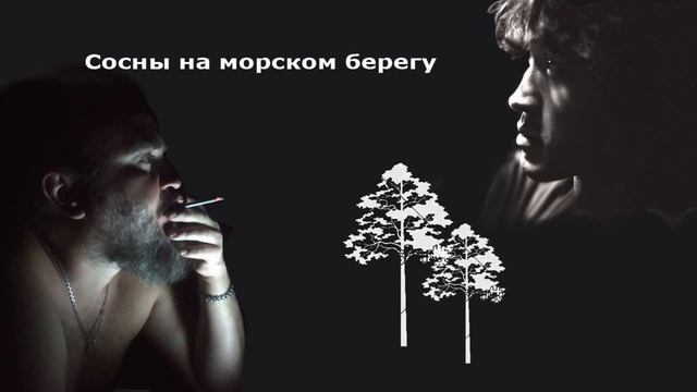 Сосны на морском берегу