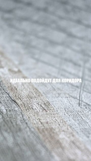 Коллекция Ritus от Marburg #marburg #ritus #обои #обоиmarburg #eleganthomedecor_новости