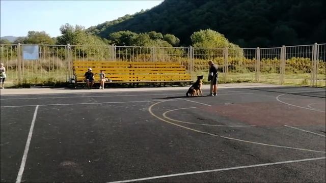 Baaris ORSIEL, 20 months