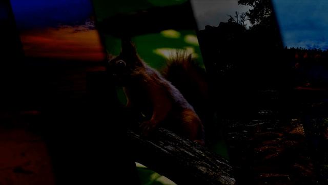 Dimilyan - Outside The Real World (New Version)