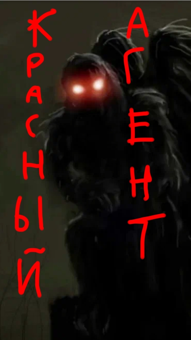 репортаж агента