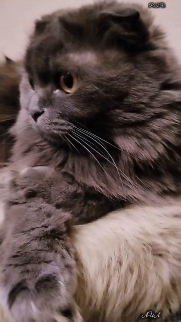 Подготовка к Новому году