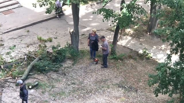 Да здравствуют рукожопы! / Архив от 04.08.2021