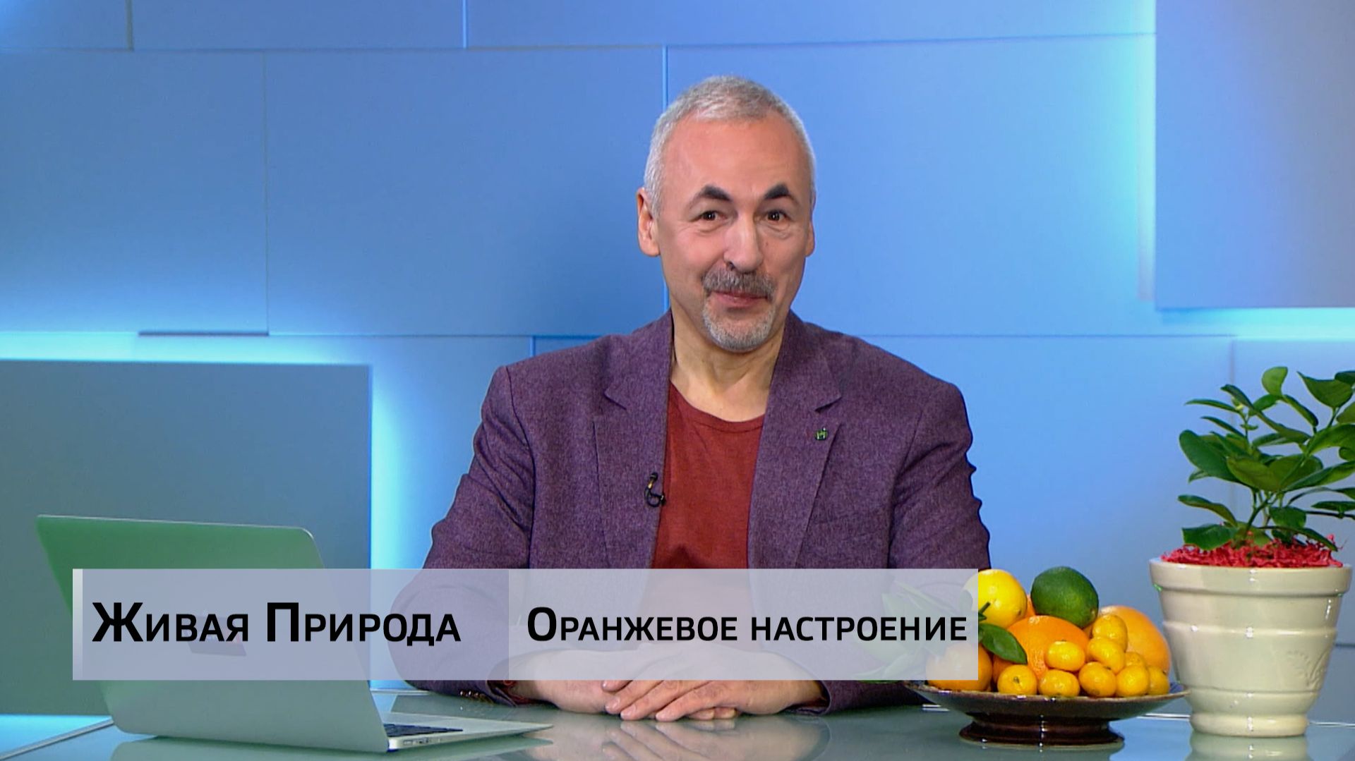 Живая природа. "Оранжевое настроение"