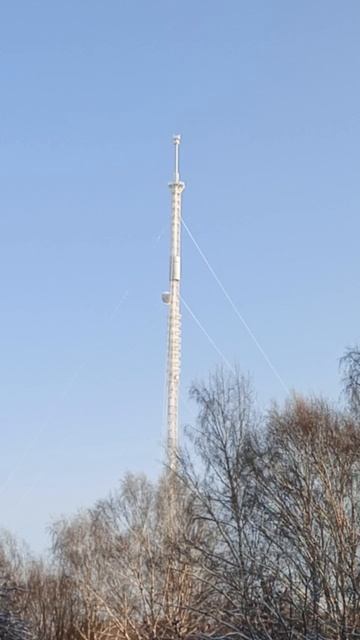 Мороз и солнце..