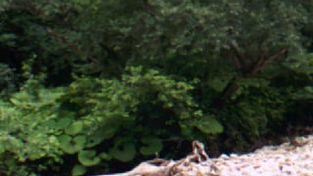 DSCF0003Хутор Ильич Отрадненск ий район Краснодарского края. июнь 2021г