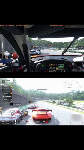 Лесной олень  / Gran turismo 7