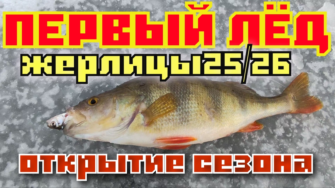 Первый Лёд. Щука на Жерлицы