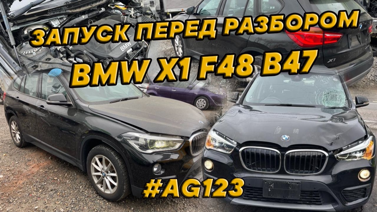 T3279 BMW X1 F48 Дизель 2л На запчасти. Запустили