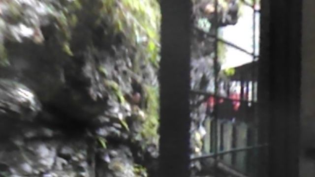 DSCN4868ГУАМСКОЕ УЩЕЛЬЕ ОСЕНЬ 2021 ГОД