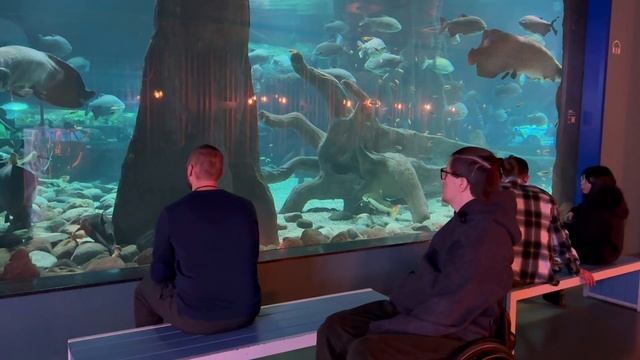 Репортажи Дениса Антипова