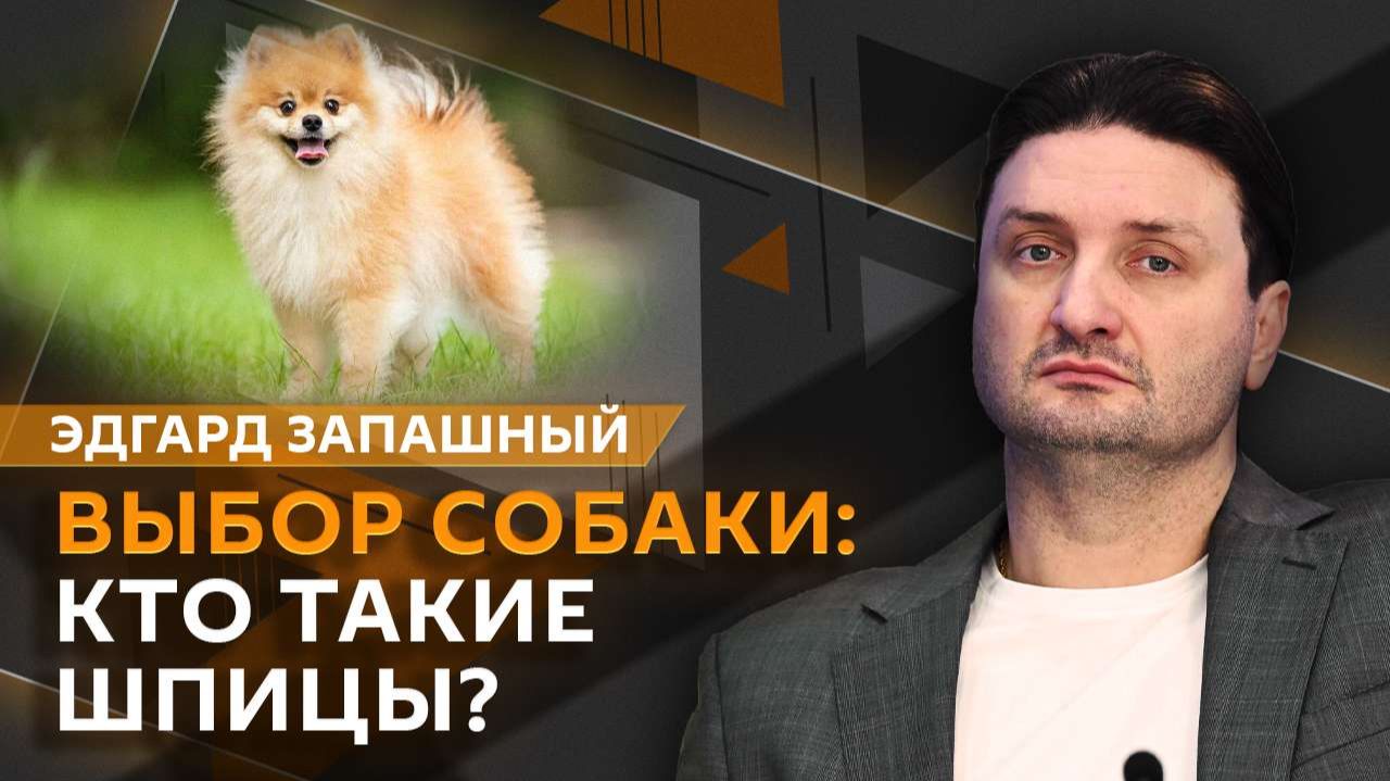 Эдгард Запашный и Нина Ватт. Хочу завести собаку: с чего начать?
