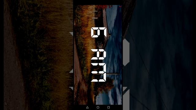 пять ночей с тузом