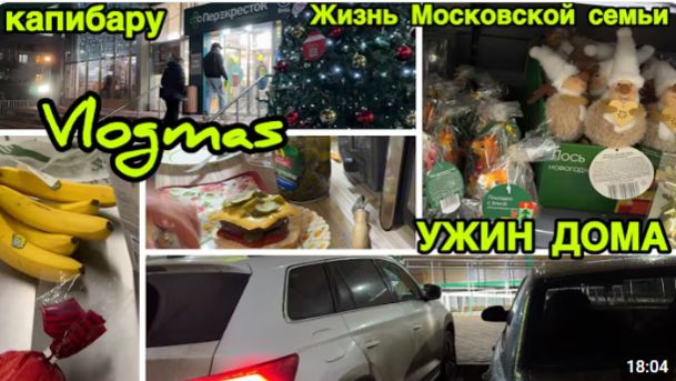 2244 ВЕЗДЕ КАПИБАРУ и ЛОШАДКИ\НОВЫЙ ГОД в МОЖАЙСКЕ\УЖИН ДОМА влог VLOGMAS