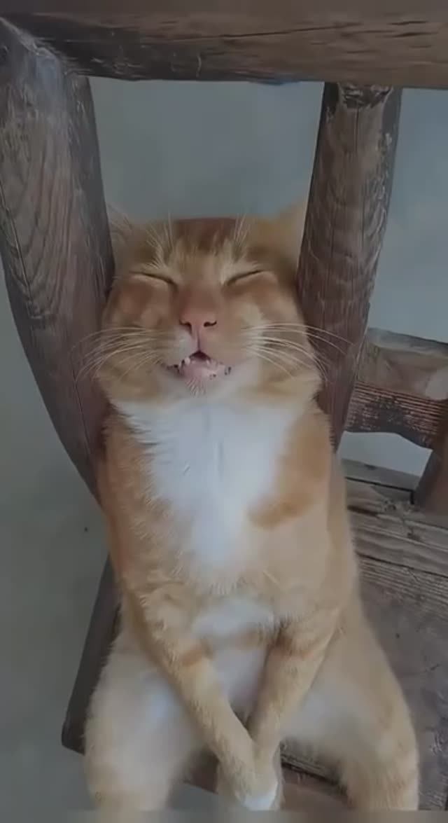 🤣 Кожаный... Доброе утро... 🤣