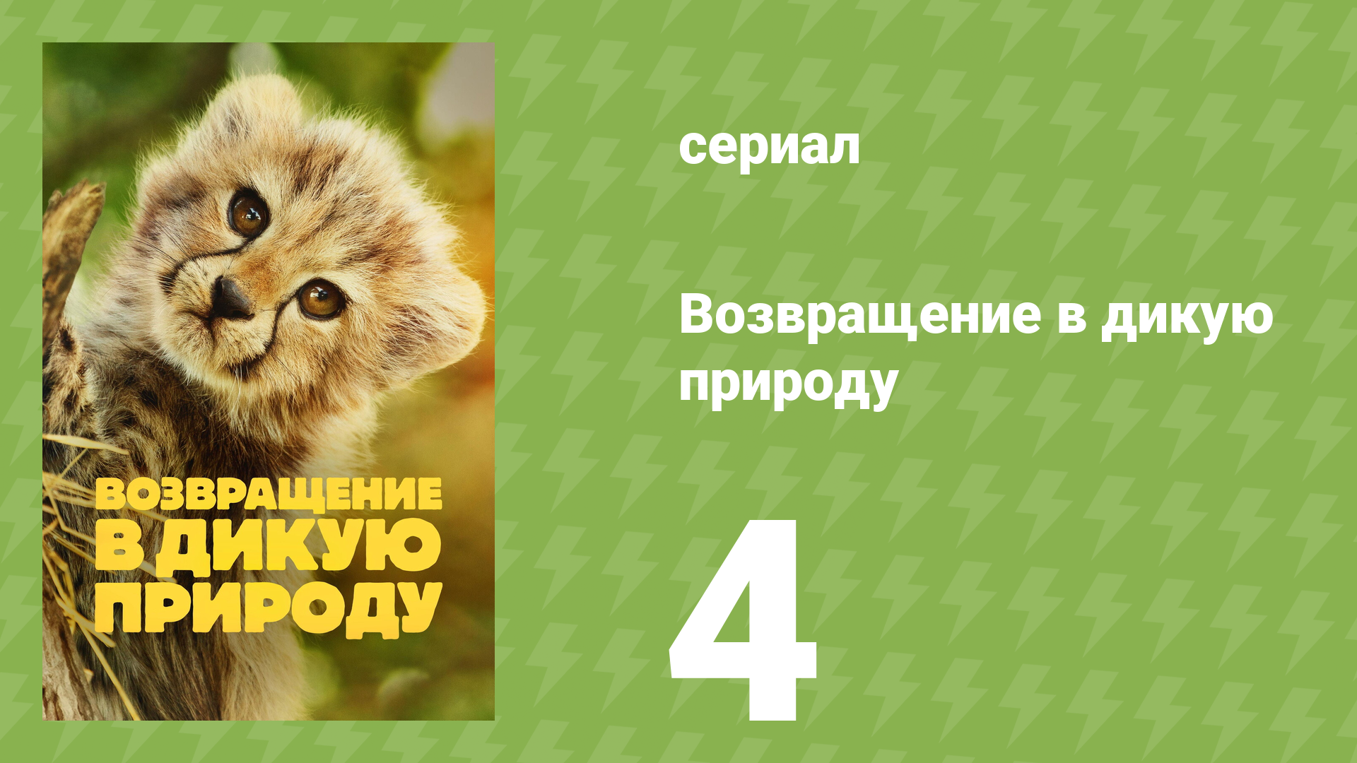 Возвращение в дикую природу 1 сезон 4 серия (документальный сериал, 2025)