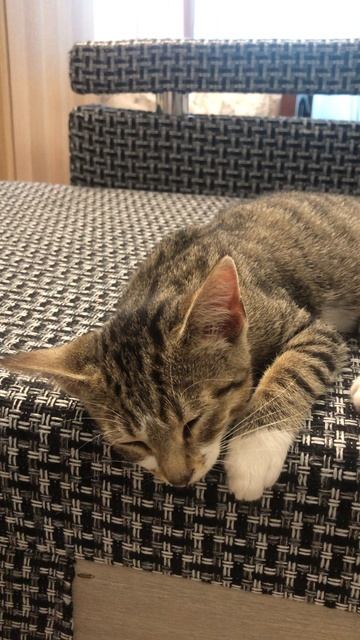 У Титуса флешбеки🙀