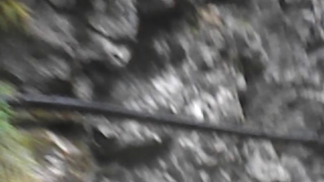 DSCN4869ГУАМСКОЕ УЩЕЛЬЕ ОСЕНЬ 2021 ГОД