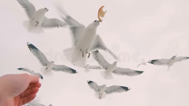 Игра — сделано в Clipchamp