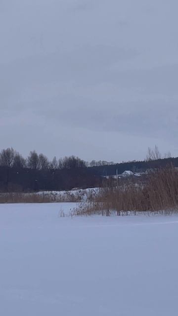 Предновогодняя хандра(природа)