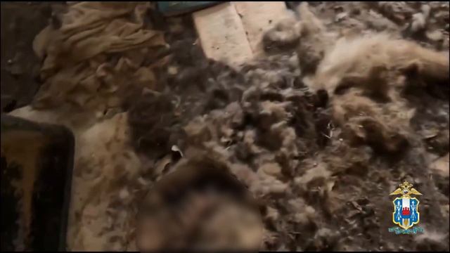 В Аксайском районе полицией возбуждено уголовное дело по факту жестокого обращения с животными