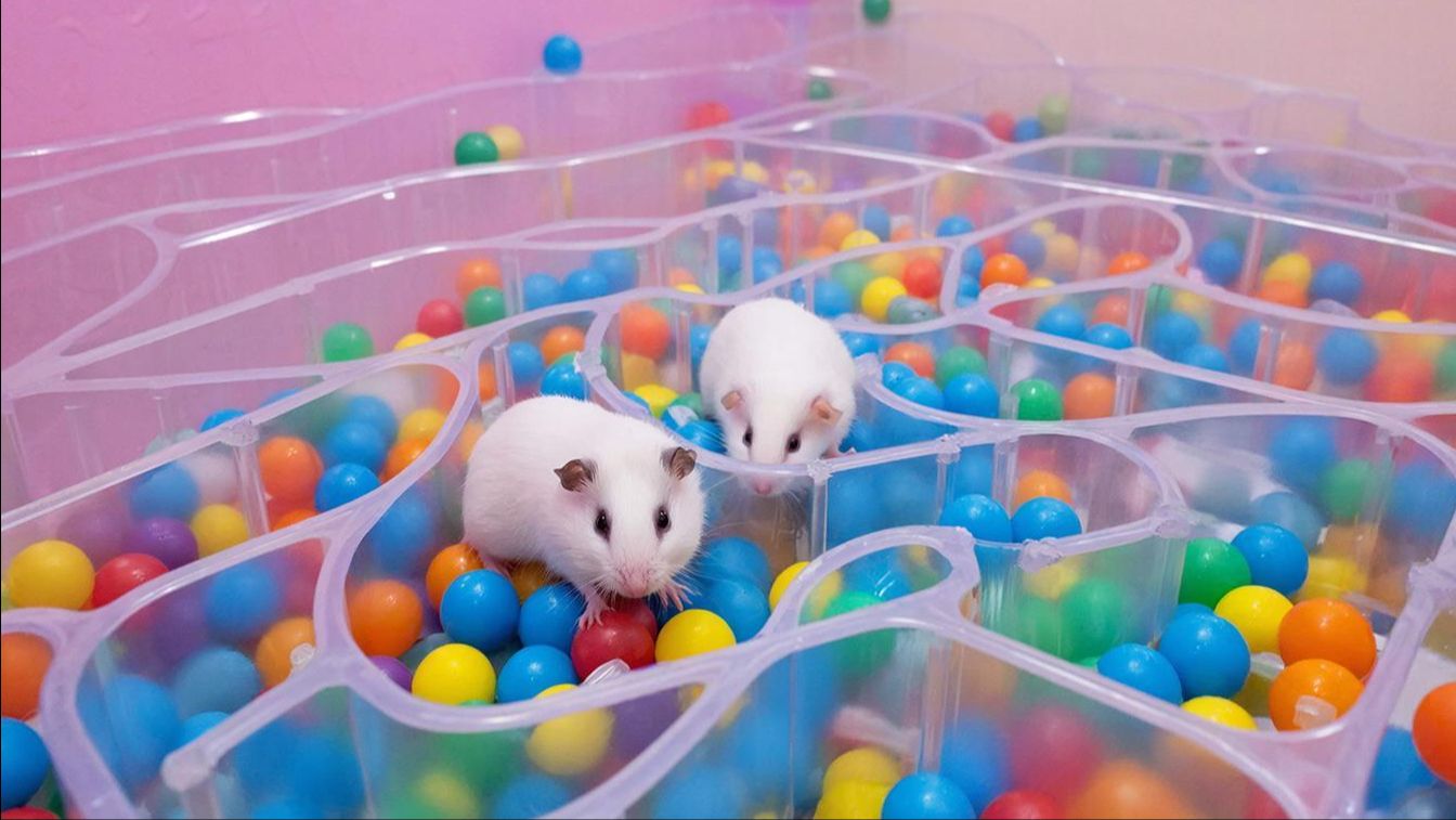 ИИ | ЗАЛИПАЛКИ | АСМР