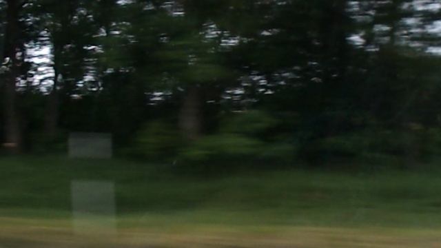 DSCN4107Хутор  Ильич Отрадненск ий район Краснодарского края. июнь 2021год