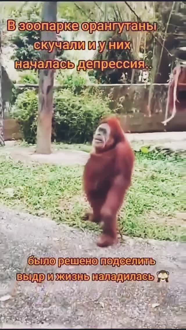 Теперь не скучно...😜