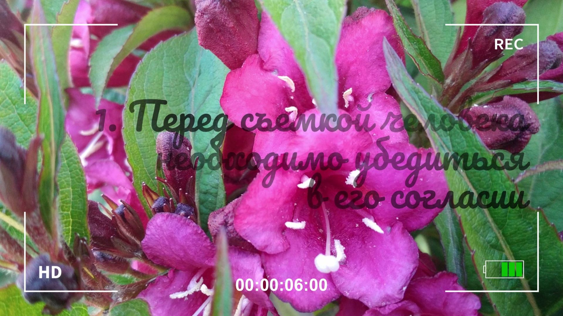 1. Перед съёмкой человека необходимо убедиться в его согласии