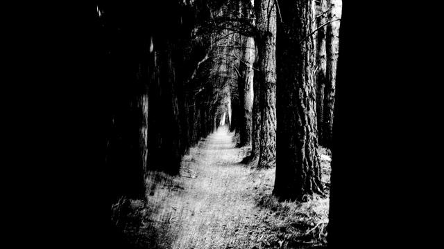 Stray Theories - Catalyst