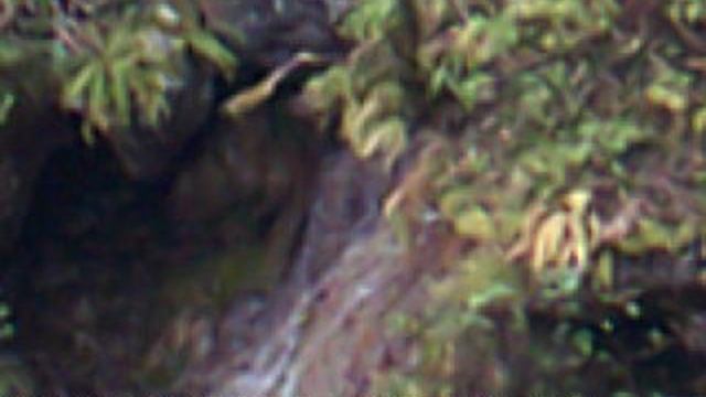 DSCF0001ГУАМСКОЕ УЩЕЛЬЕ ОСЕНЬ 2021 ГОД