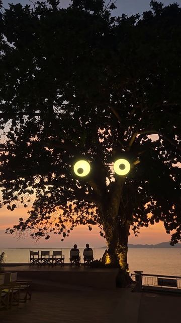 Дерево с глазами