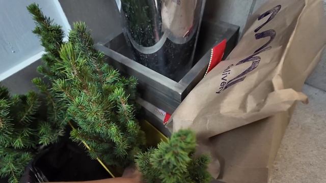 🌷Неделя флориста #48 - Предновогодняя неделя