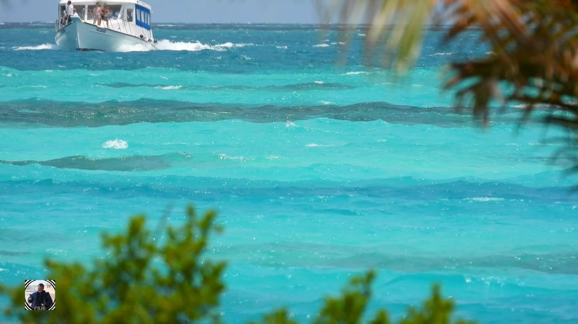 Мальдивы 2025 виды, океан, цветовая палитра воды, тропические сады, ящерицы #мальдивы2025 #maldives