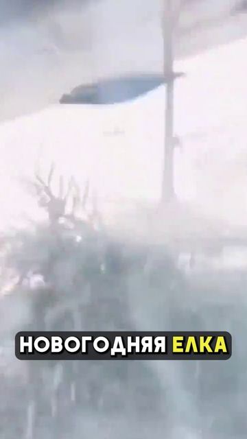 Последний Рейс Новогодней Елки