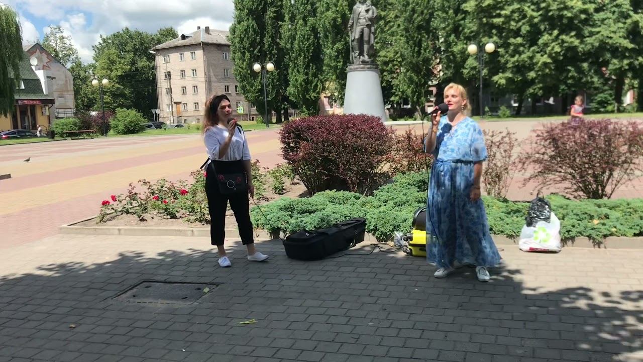 Софония в Калининграде, 4-й день, поездка в Советск