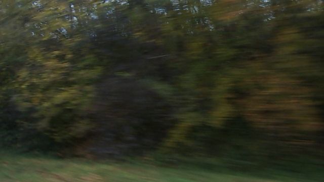 DSCN4803ГУАМСКОЕ УЩЕЛЬЕ ОСЕНЬ 2021 ГОД