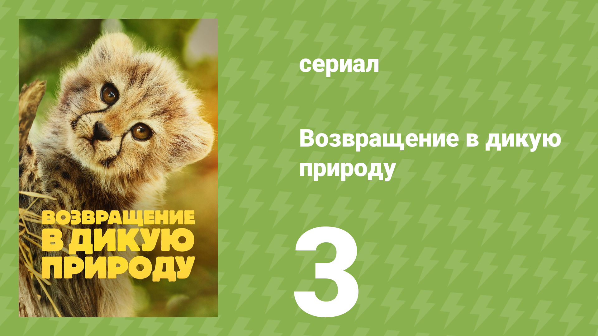 Возвращение в дикую природу 1 сезон 3 серия (документальный сериал, 2025)