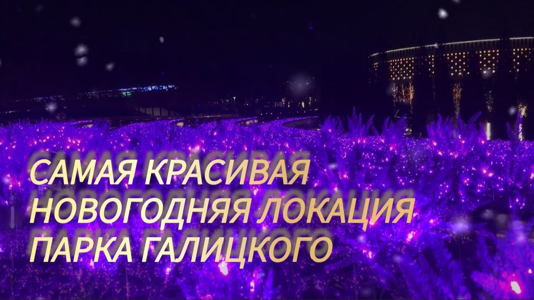 Новогодний Парк Галицкого. Светящийся шалфей и «Геолокация»✅