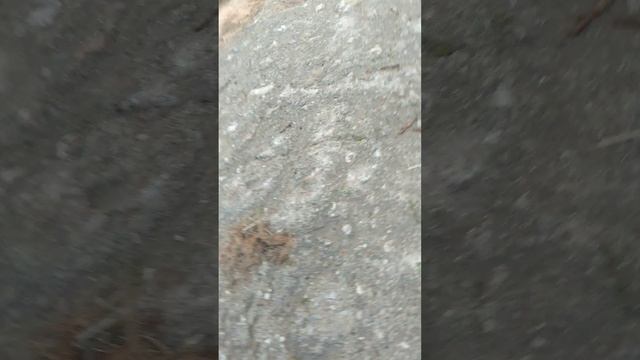 Селятино приключение Ромы и Маши 9 серия сборник лёвы для взрослых и детей