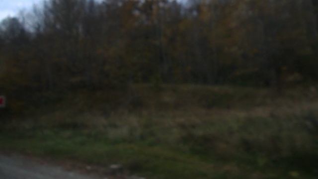 DSCN4802ГУАМСКОЕ УЩЕЛЬЕ ОСЕНЬ 2021 ГОД