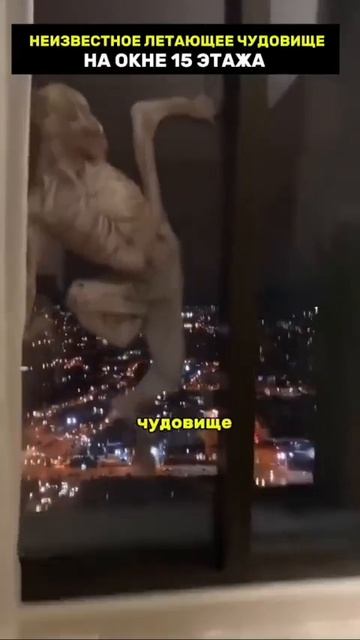 что ты такое