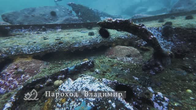 Дайвинг в Японском море. Пароход "Владимир"