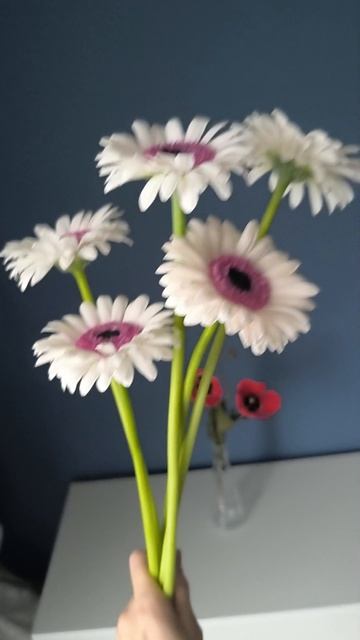 Герберы из холодного фарфора/ мои работы Мурзилкина-Голубецкая.mp4