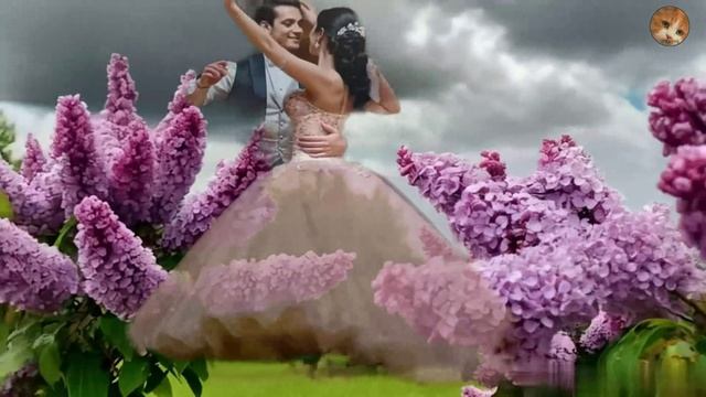 Francis Goya - Nostalgia