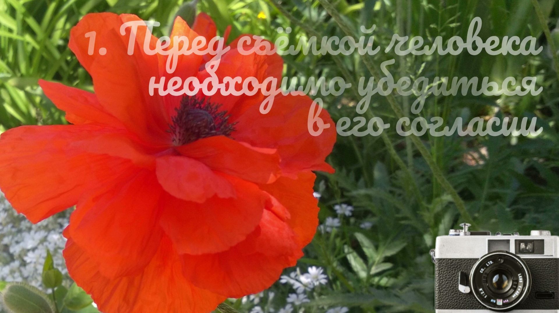 1. Перед съёмкой человека необходимо убедиться в его согласии