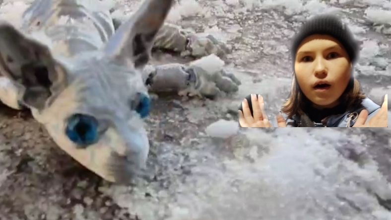 Что за дух преследует меня и Лизу?#продалжениеследует