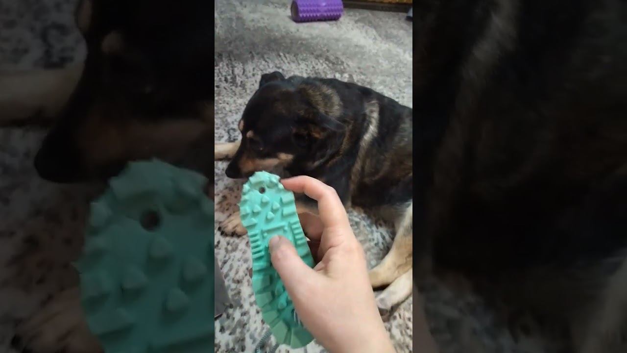 Ни чего я не хочу #Джуль_етта и игрушки #топ #песня