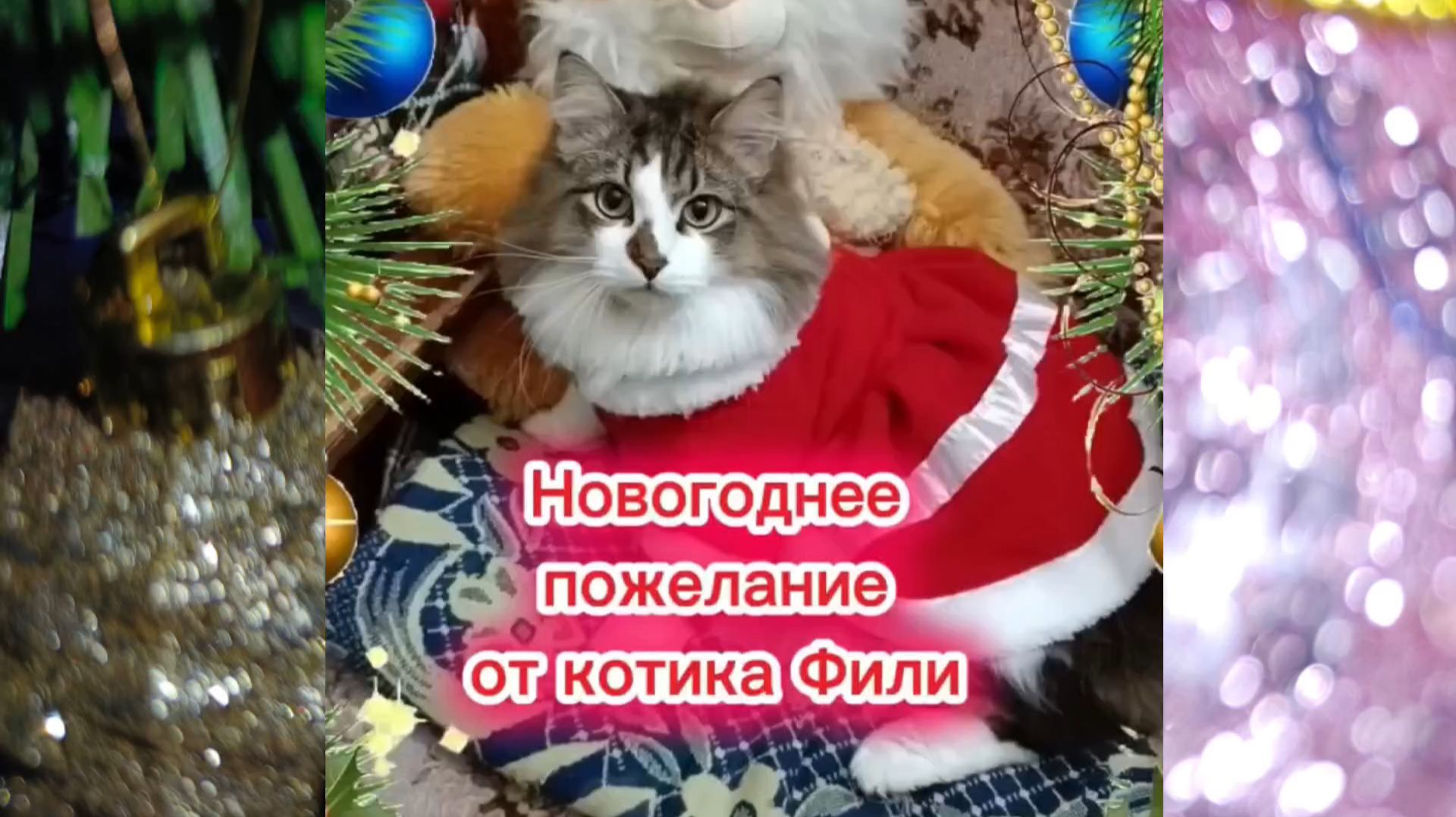 Новогодние пожелания.
